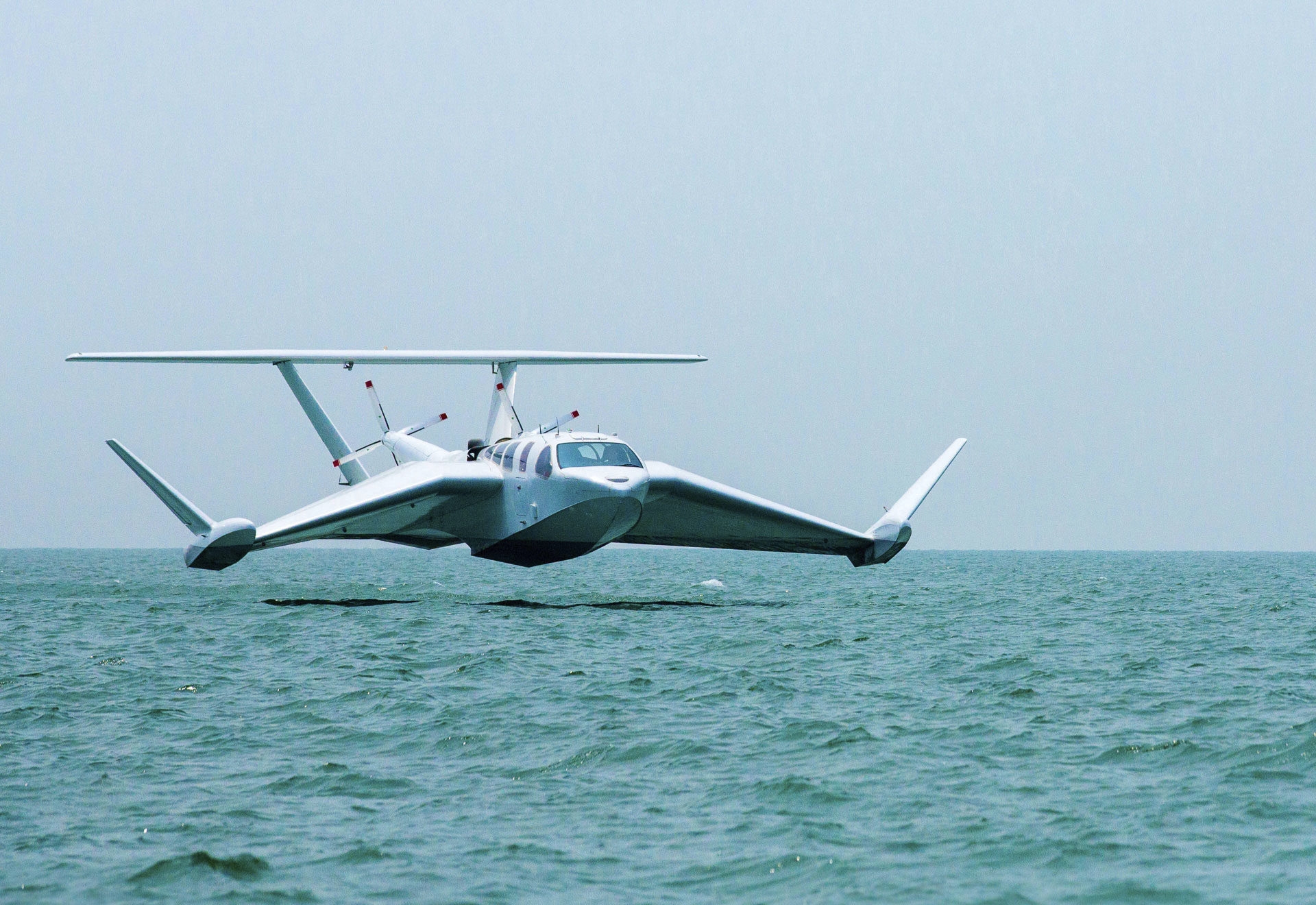 Verdens raskeste dyr | illvit.no