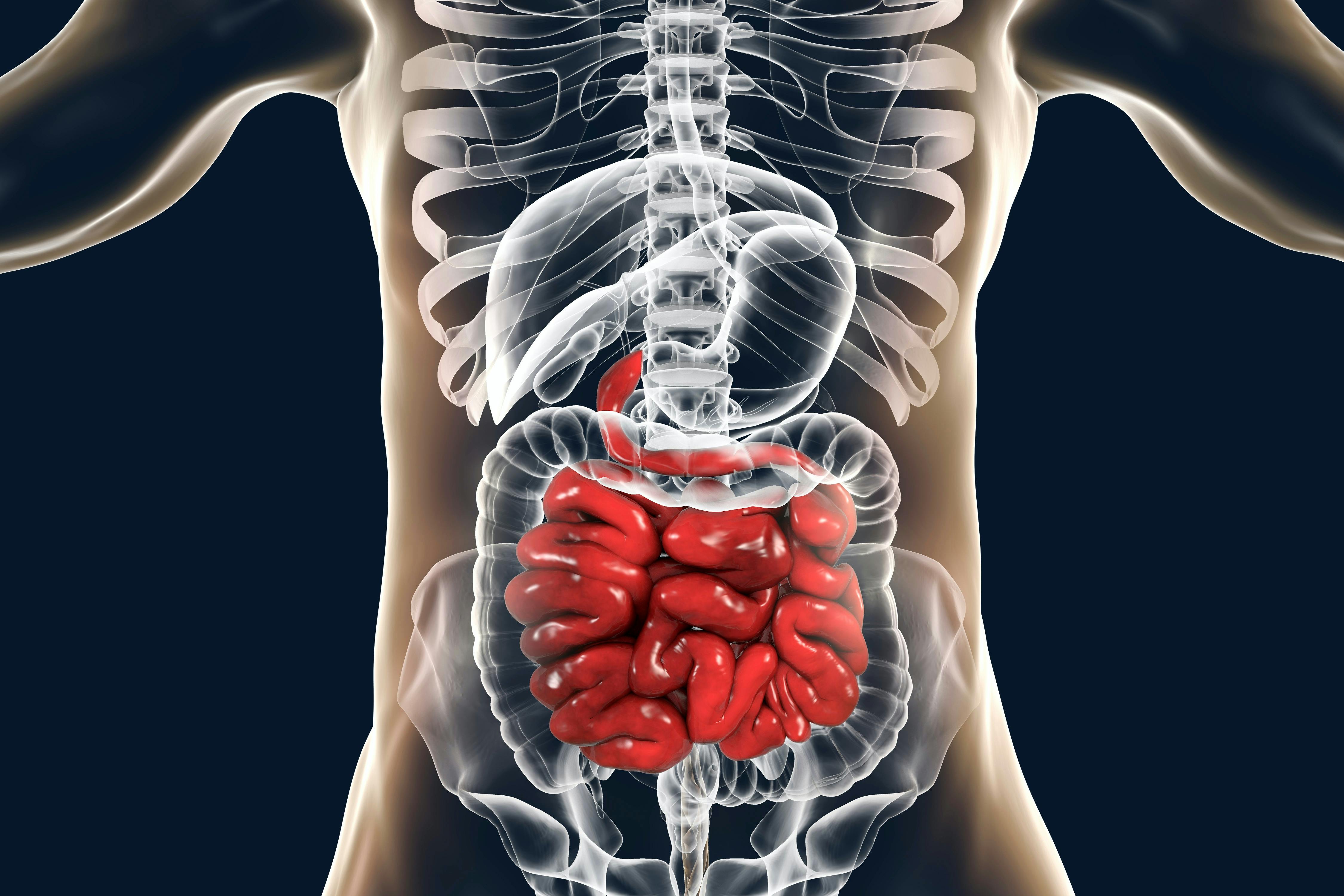 Tarm: Kend dig selv på din tarmtype | Illvid.dk