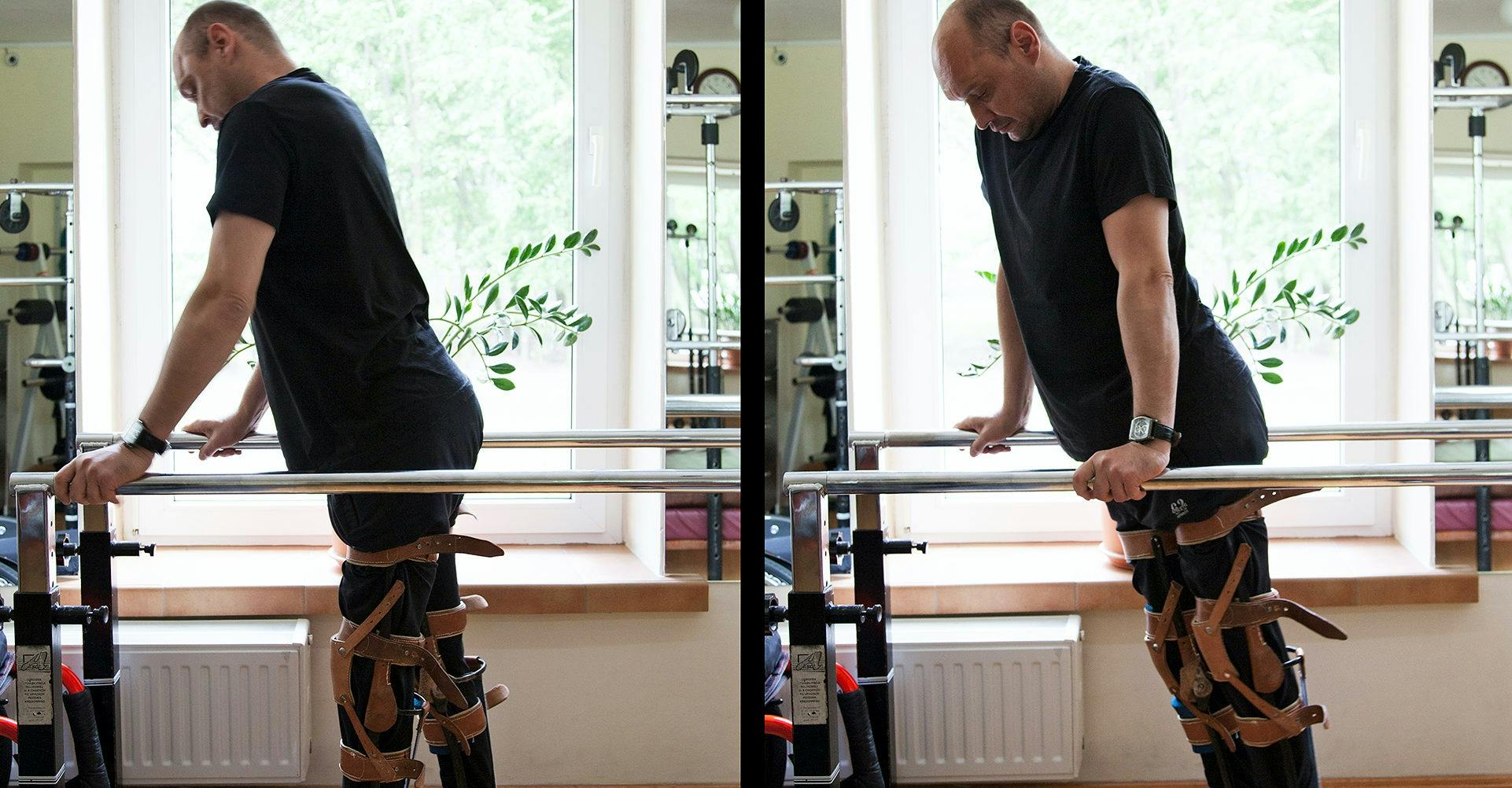 Celler fra næsen får lamme til at gå | Illvid.dk