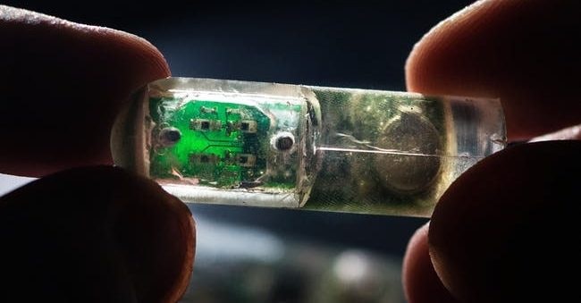 Det vrimler av liv i tarmen din | illvit.no Det vrimler av liv i tarmen din | illvit.no
