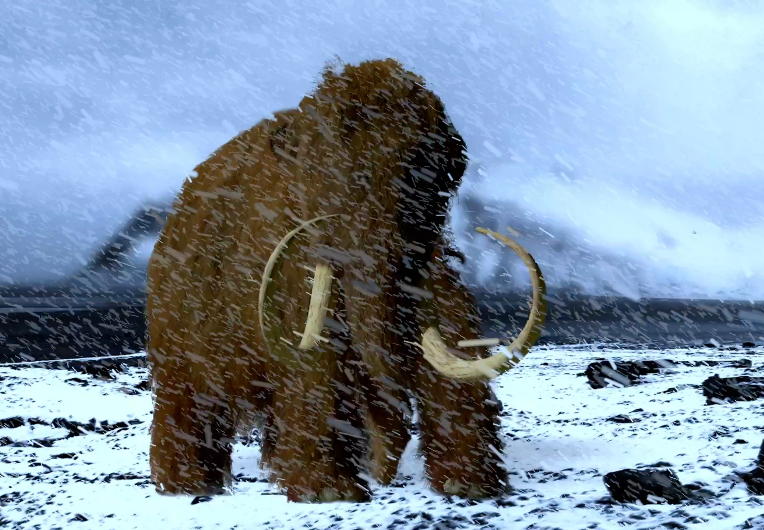 GENOMBROTT: Världens äldsta dna avslöjar helt ny mammutsläkt | illvet.se