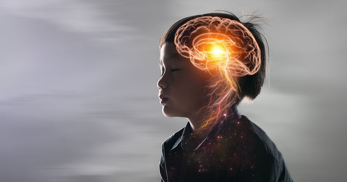 God undervisning giver større hjerne | illvid.dk