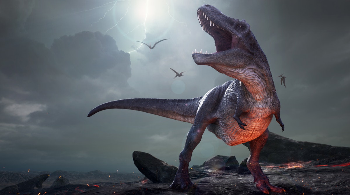 Scientists now know where the dinosaur death asteroid came from ...