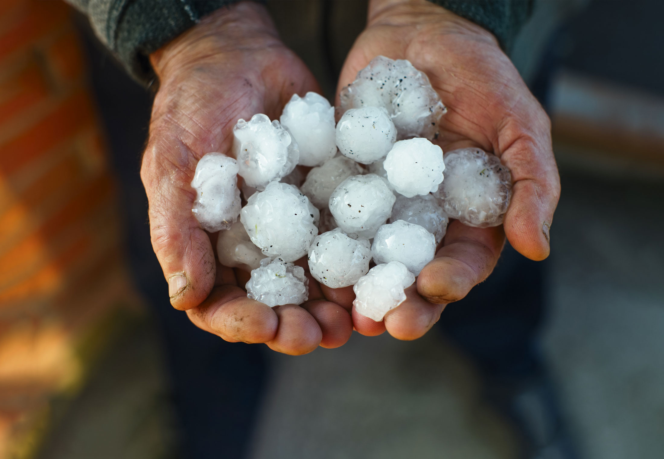 Hagl bliver på størrelse med meloner | illvid.dk