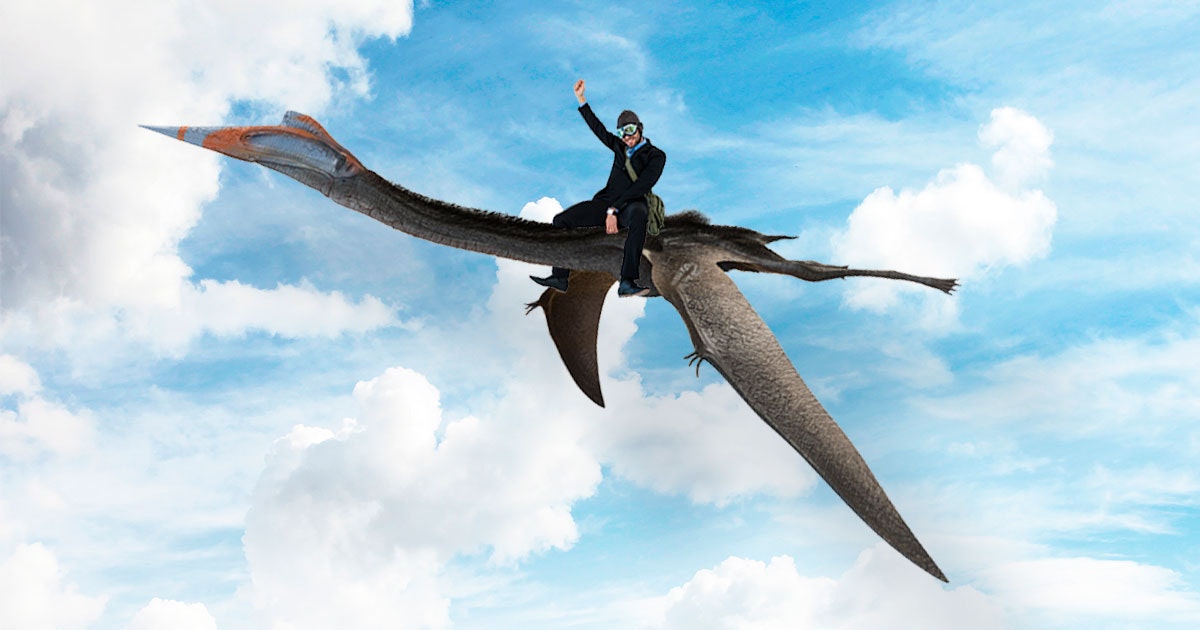 Kunne flyveøgler bære et menneske? | illvid.dk