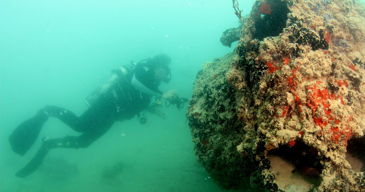 Derfor er vannet vårt så uklart | illvit.no