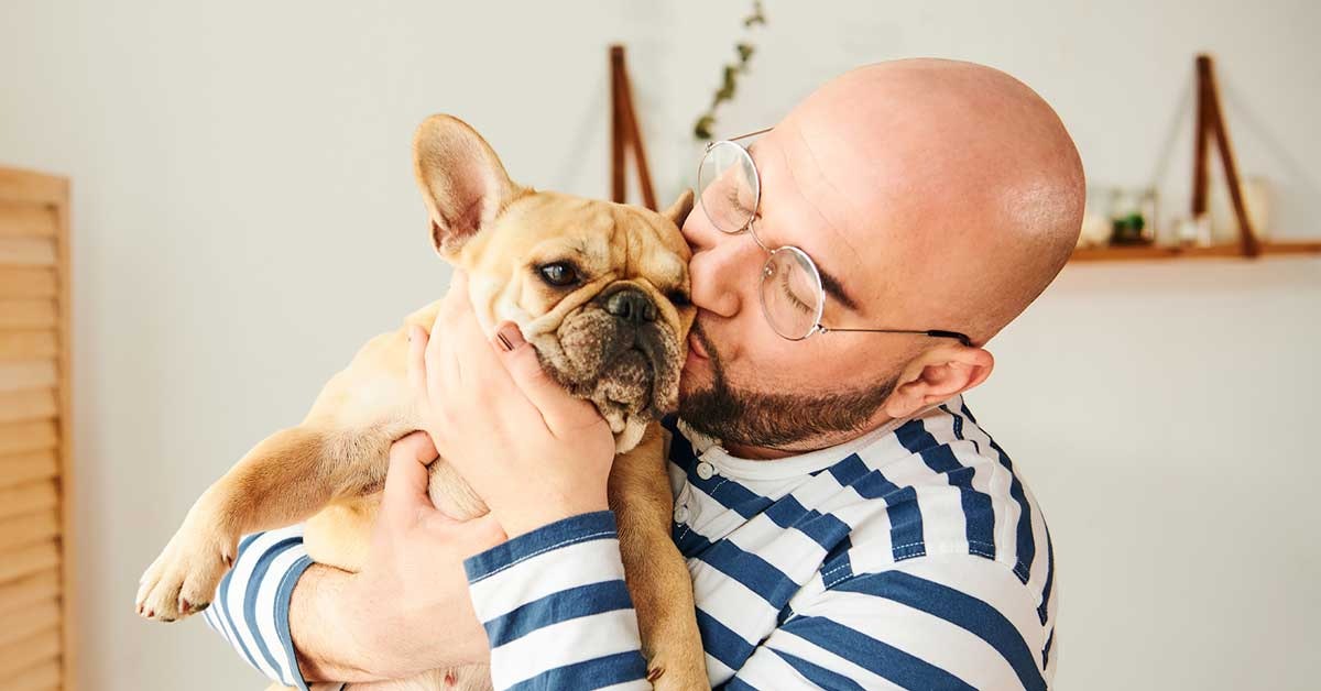 Dogs resemble their owners, a new study shows | scienceillustrated.com