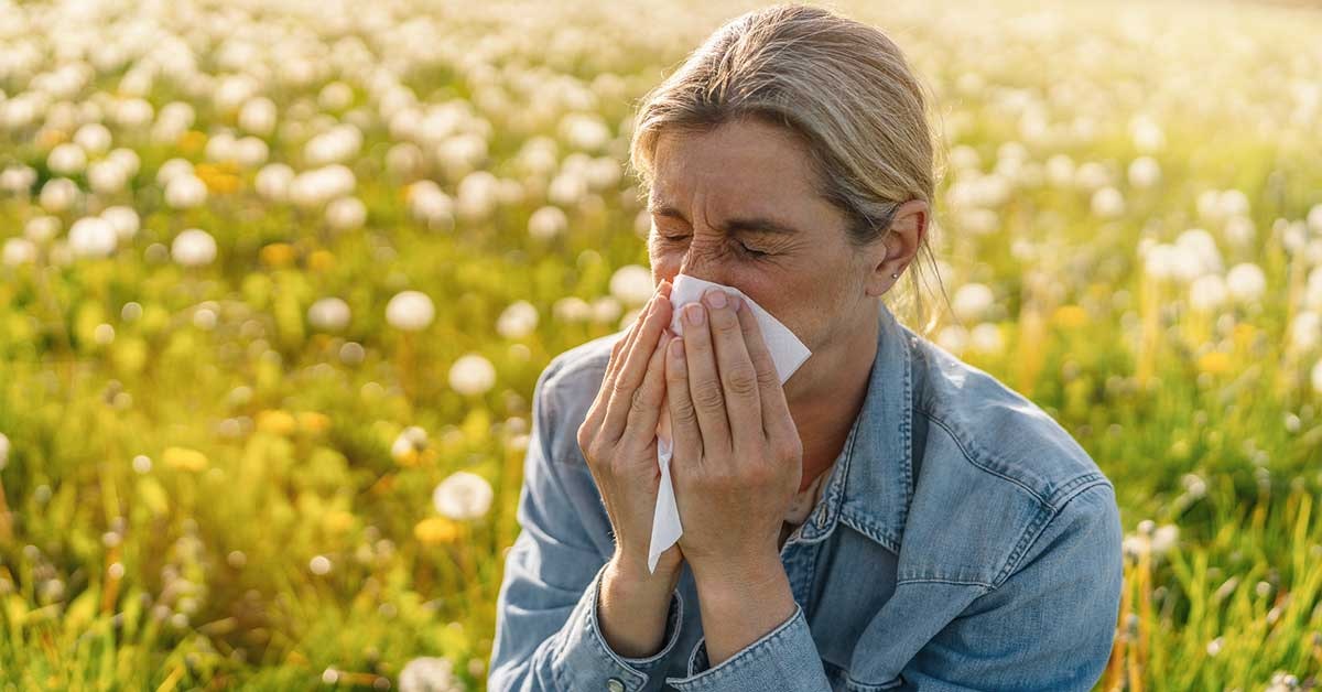 Possible weapon against pollen allergy found – mouse experiment ...