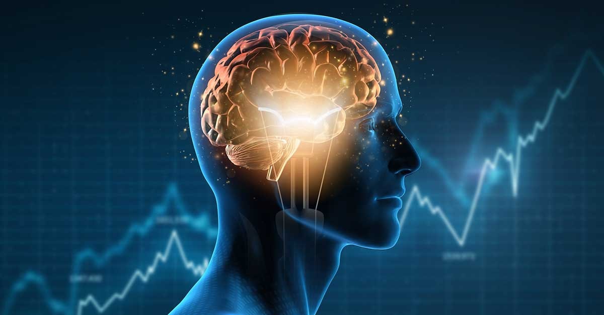 Optimist or pessimist – your brain can reveal your true nature ...