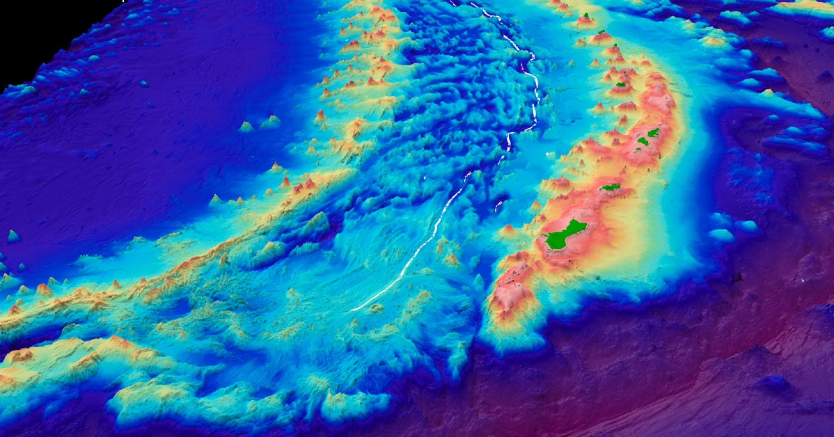 Wetenschappers ontdekken 7000 nieuwe soorten in Challengerdiepte in de ...