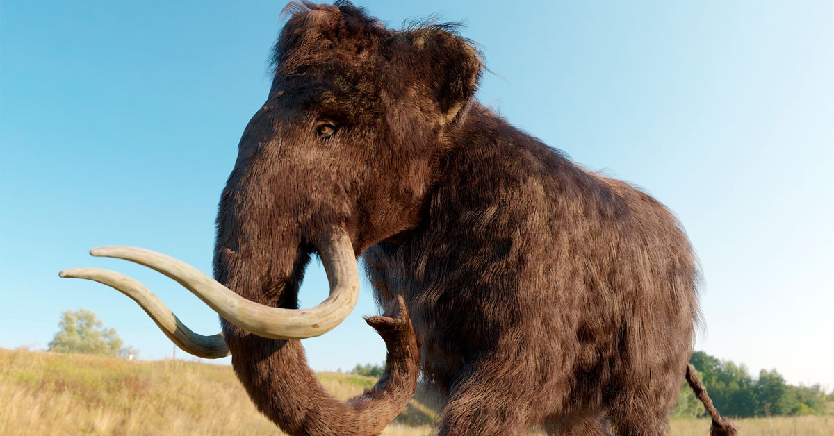 Nieuw onderzoek – Mammoeten stierven uit door allergieën | wibnet.nl