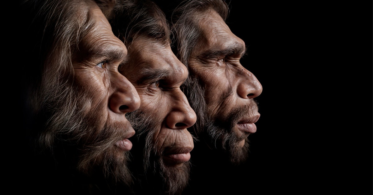 Vilka var våra förfäder? | illvet.se