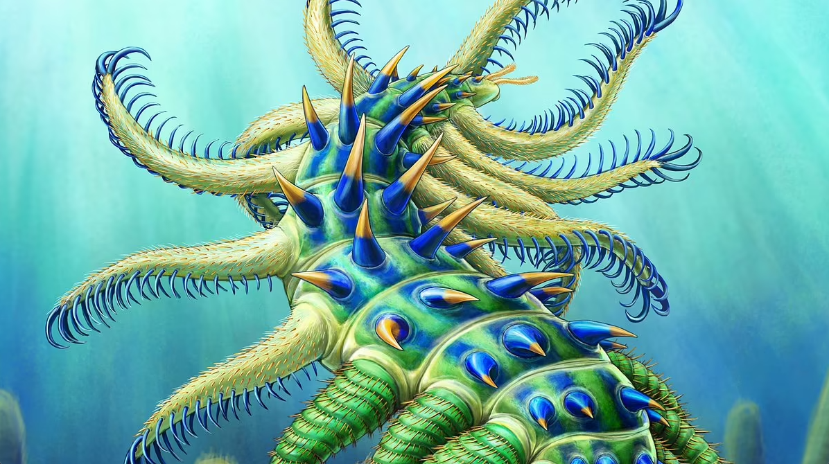 Wetenschappers ontdekken het 543 miljoen jaar oude zeedier Entothyreos ...