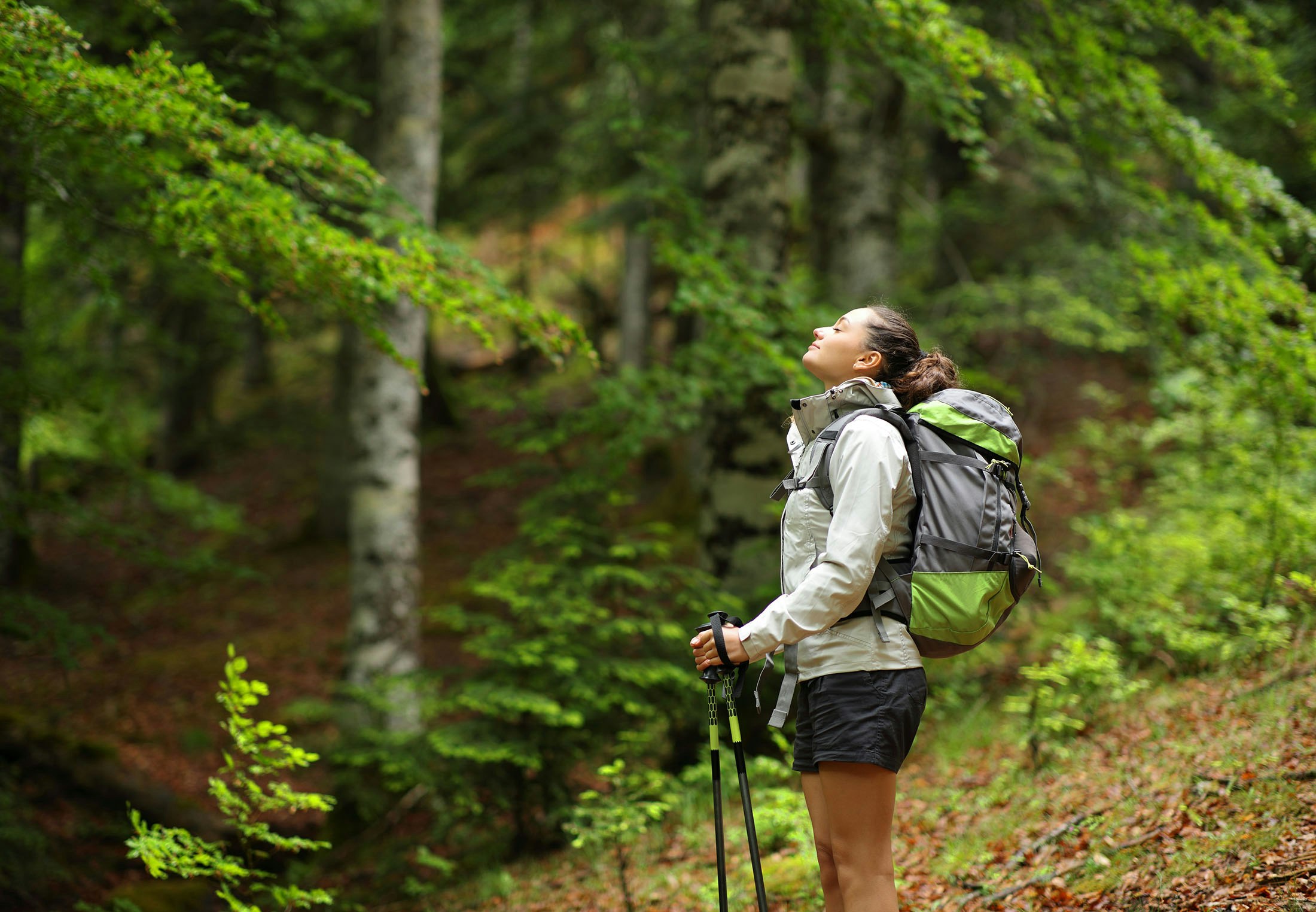 Gavner en tur i skoven min sundhed? | illvid.dk