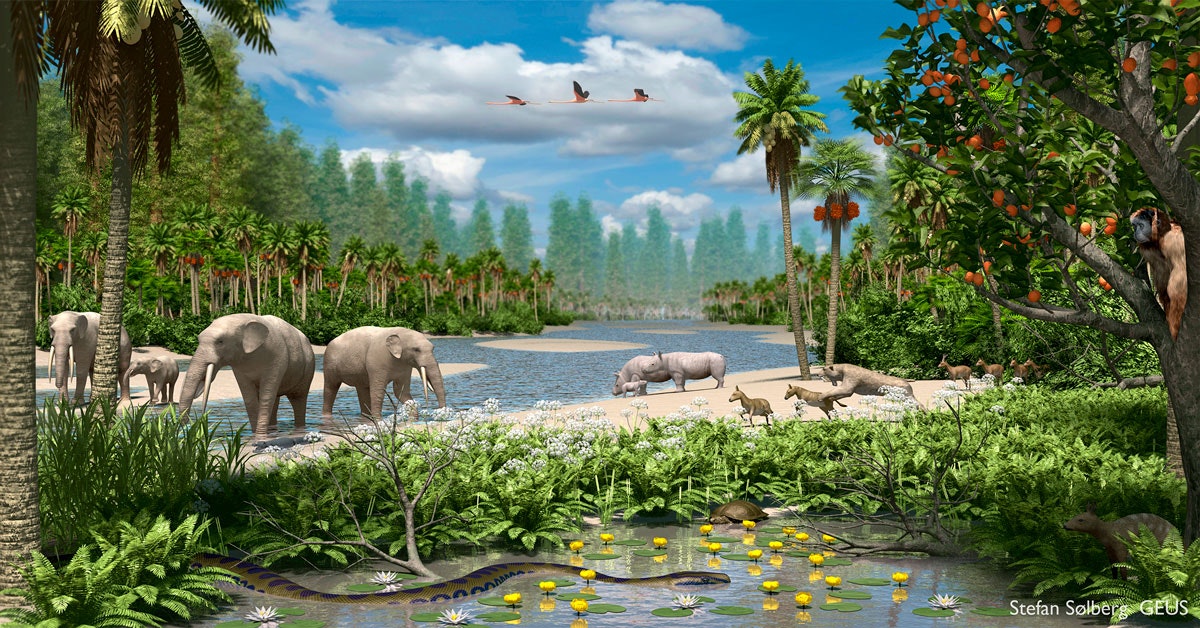 Flere lande kan få tropisk-lignende klima i fremtiden | illvid.dk