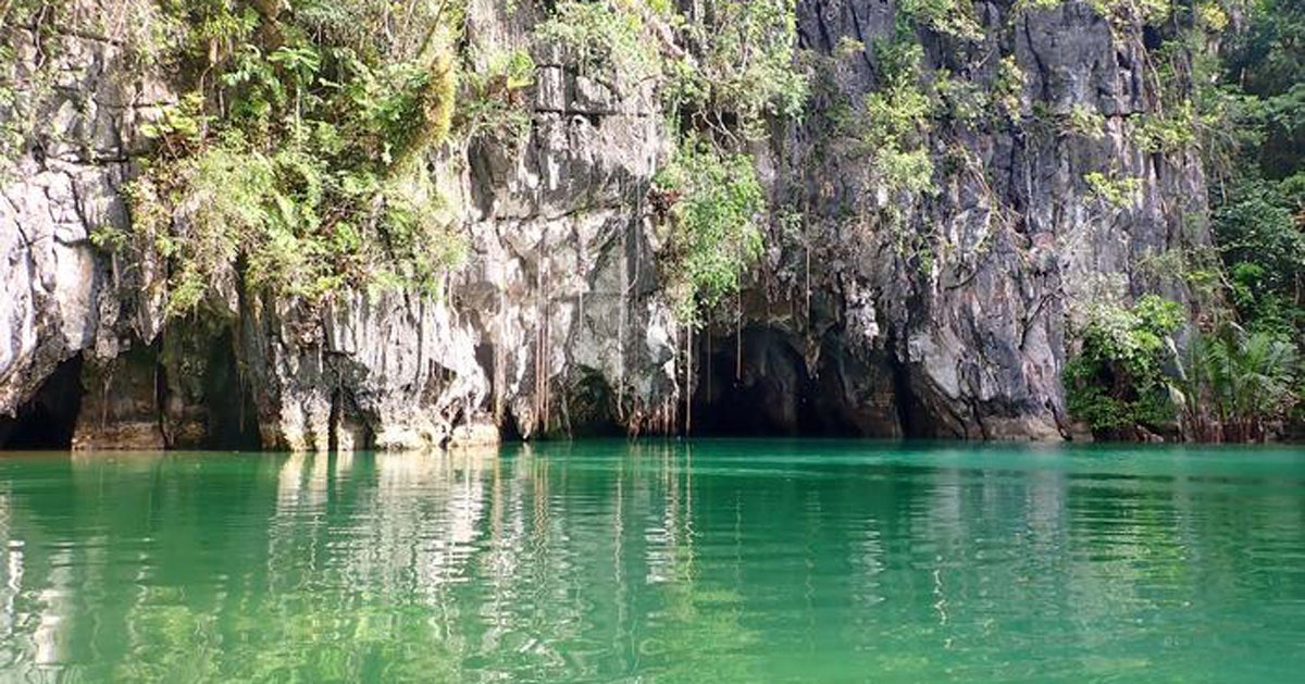 A brand new moray eel species has been discovered in an underwater cave ...