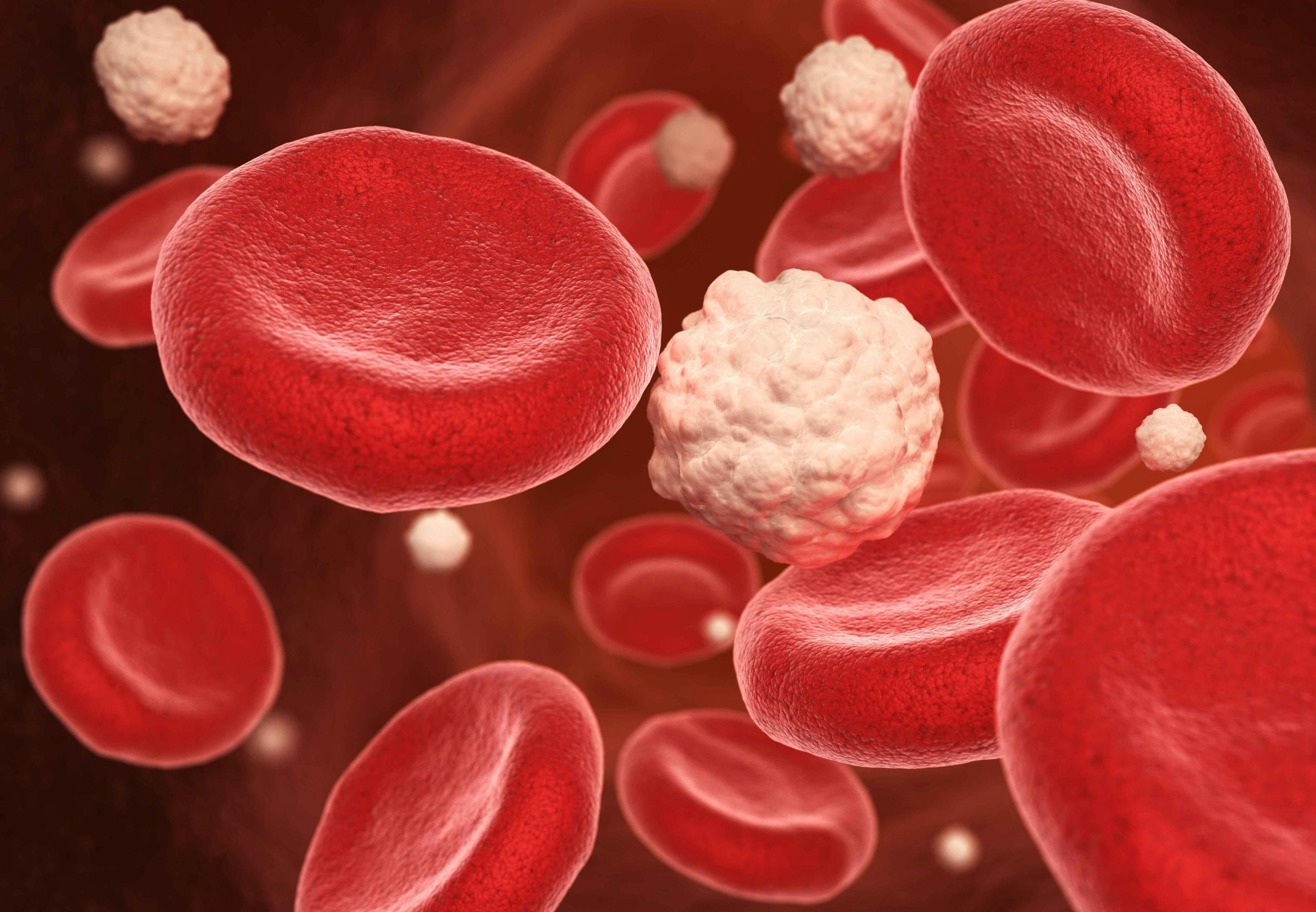 Vad är glukos och hur mäter man sitt blodsocker? | illvet.se