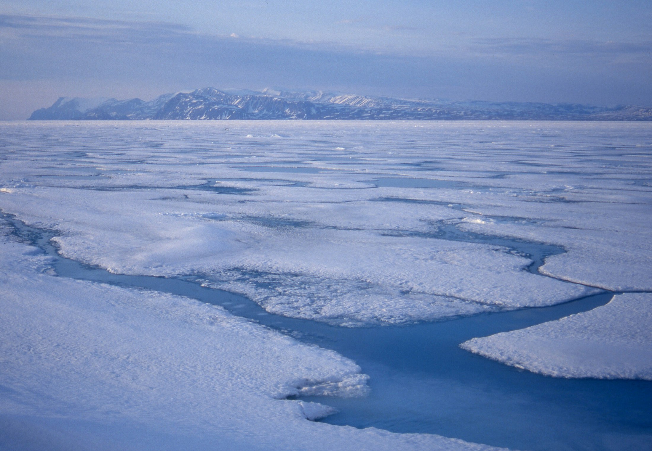 Nordamerikas første mennesker kan være vandret ad ”havis-motorvej ...