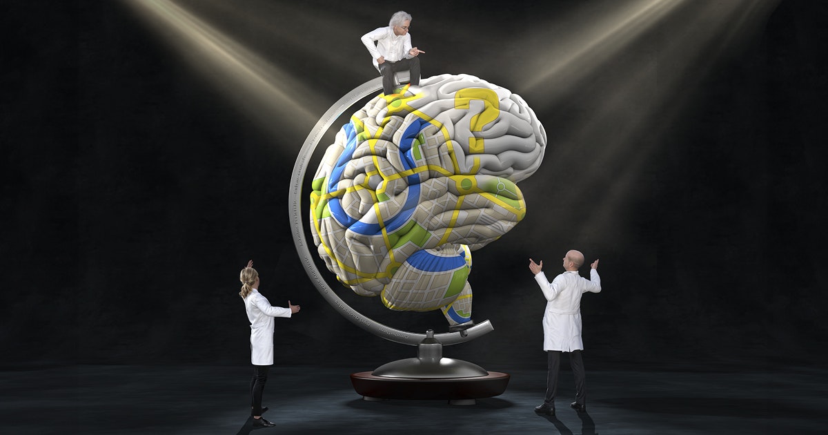 Scientists map entire human brain | illvet.se Scientists map entire human brain | illvet.se