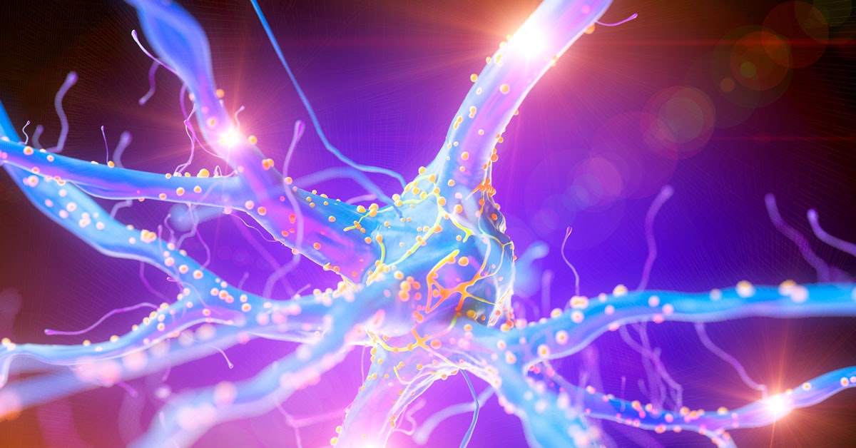 Physical activity can improve brain function in elderly people for up ... Physical activity can improve brain function in elderly people for up ...