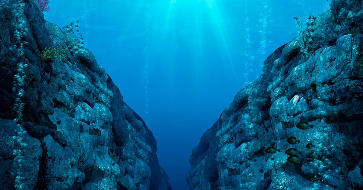 Walvissen veroorzaken mysterieuze geluiden in Marianentrog | wibnet.nl