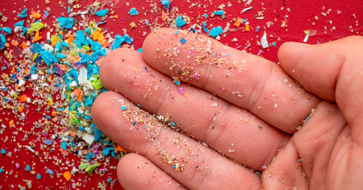 Microplastics block blood flow in the brains of mice ...