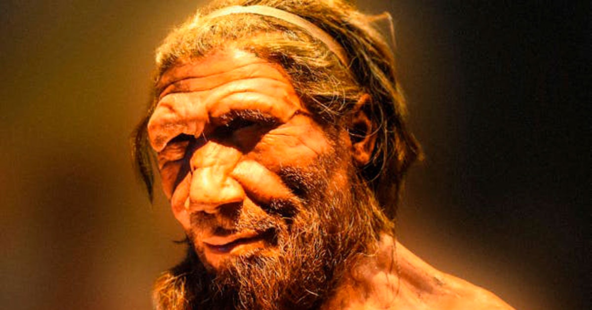 Særlige ribben kan have gjort neandertalere eksplosivt stærke | illvid.dk