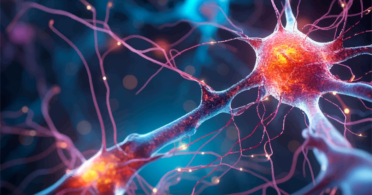 Rood en bewerkt vlees verhoogt het risico op dementie | wibnet.nl