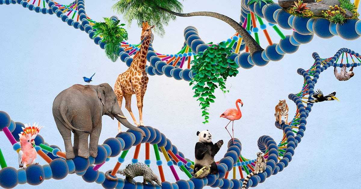 Genoom van 2 miljoen soorten wordt in kaart gebracht | wibnet.nl