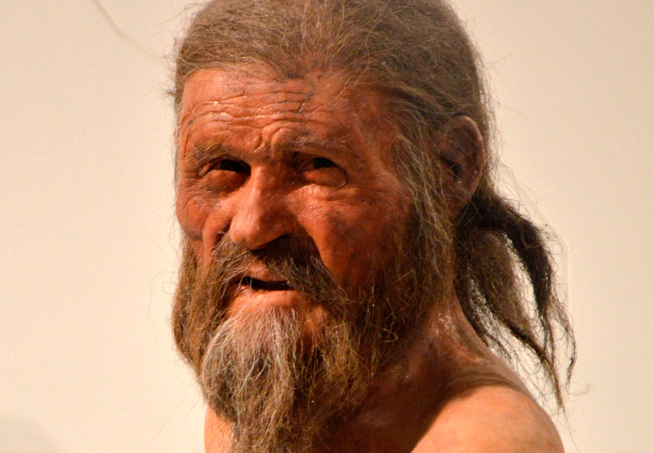 Oetzi Oetzi The Iceman Wore Bear Fur And Roe Deer 5,300 Years Ago