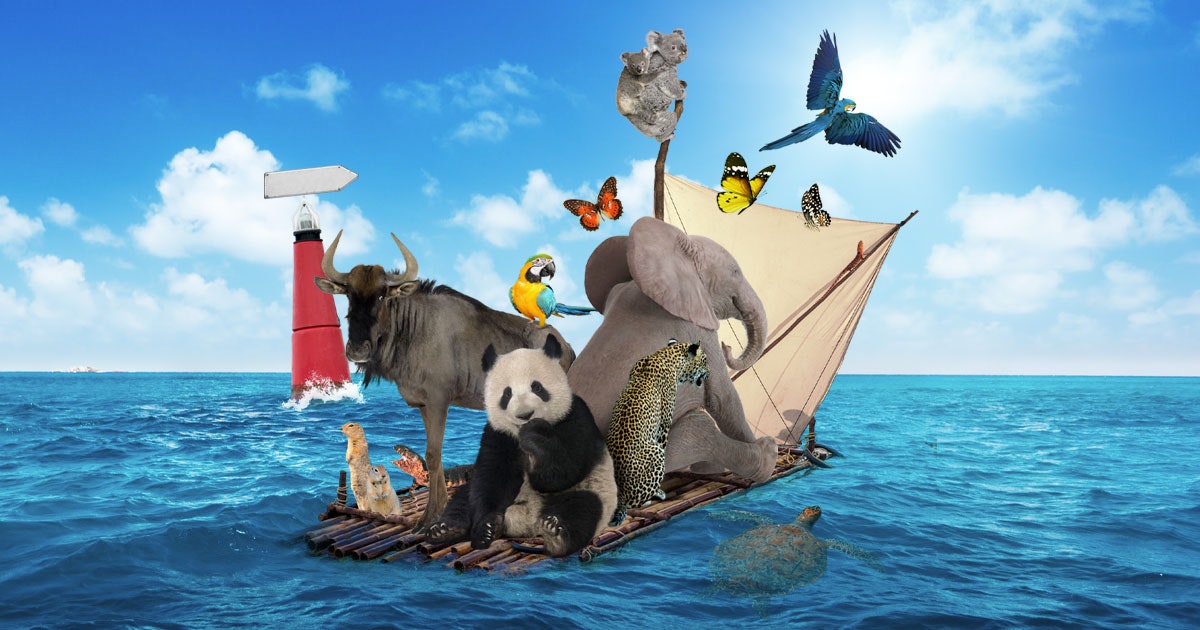 Animals are fleeing climate change | scienceillustrated.com