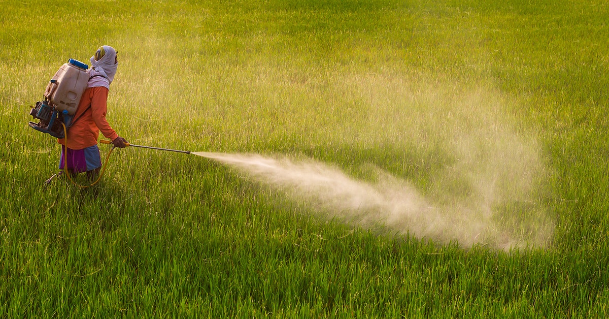 Scientists: this creature may replace particular pesticides in the ...