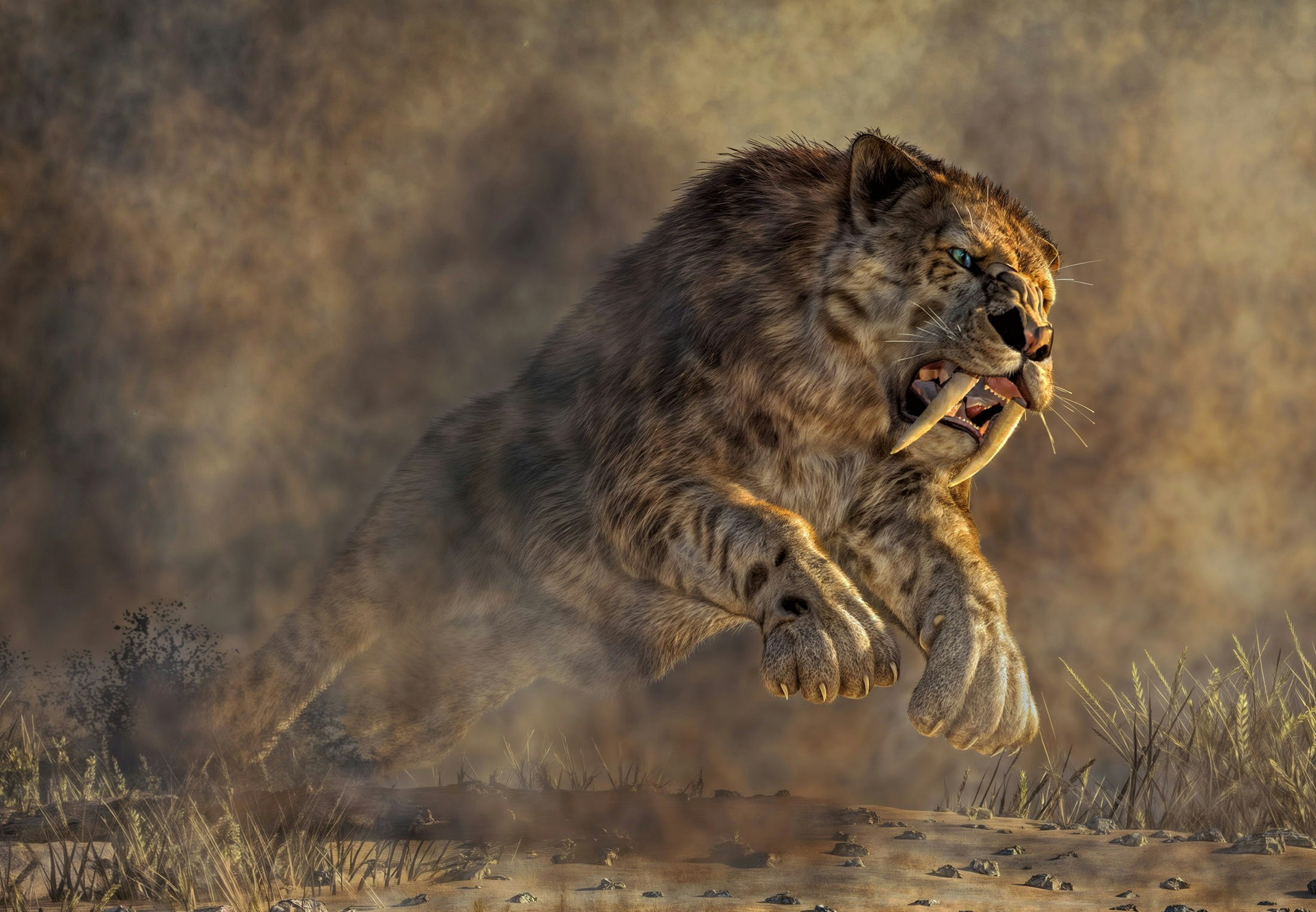 Hoe jaagde de sabeltandkat? | wibnet.nl