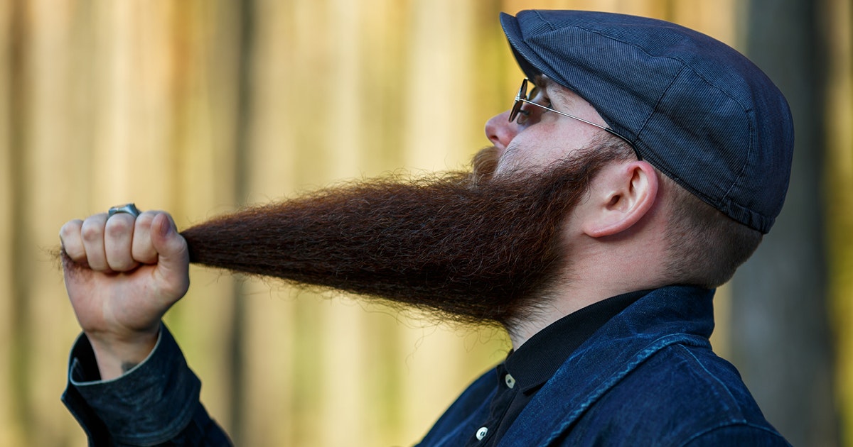 Haren groeien niet sterker terug na het scheren | wibnet.nl