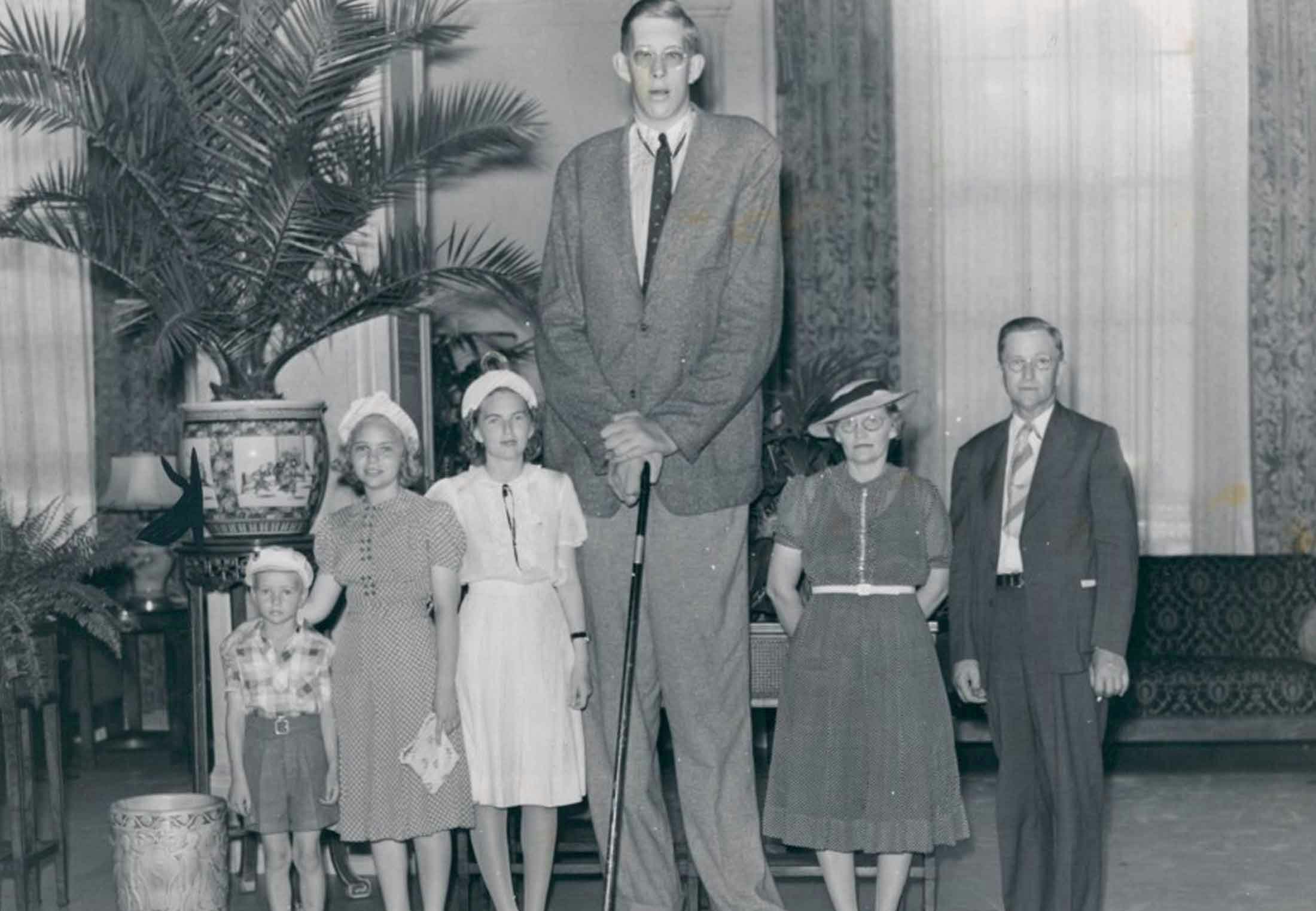 The Most Tallest Man In The World 2024
