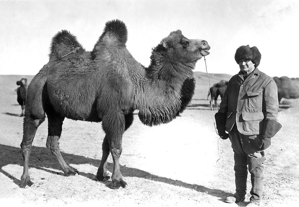 August Larson blev hertig av Mongoliet | Popularhistoria.se