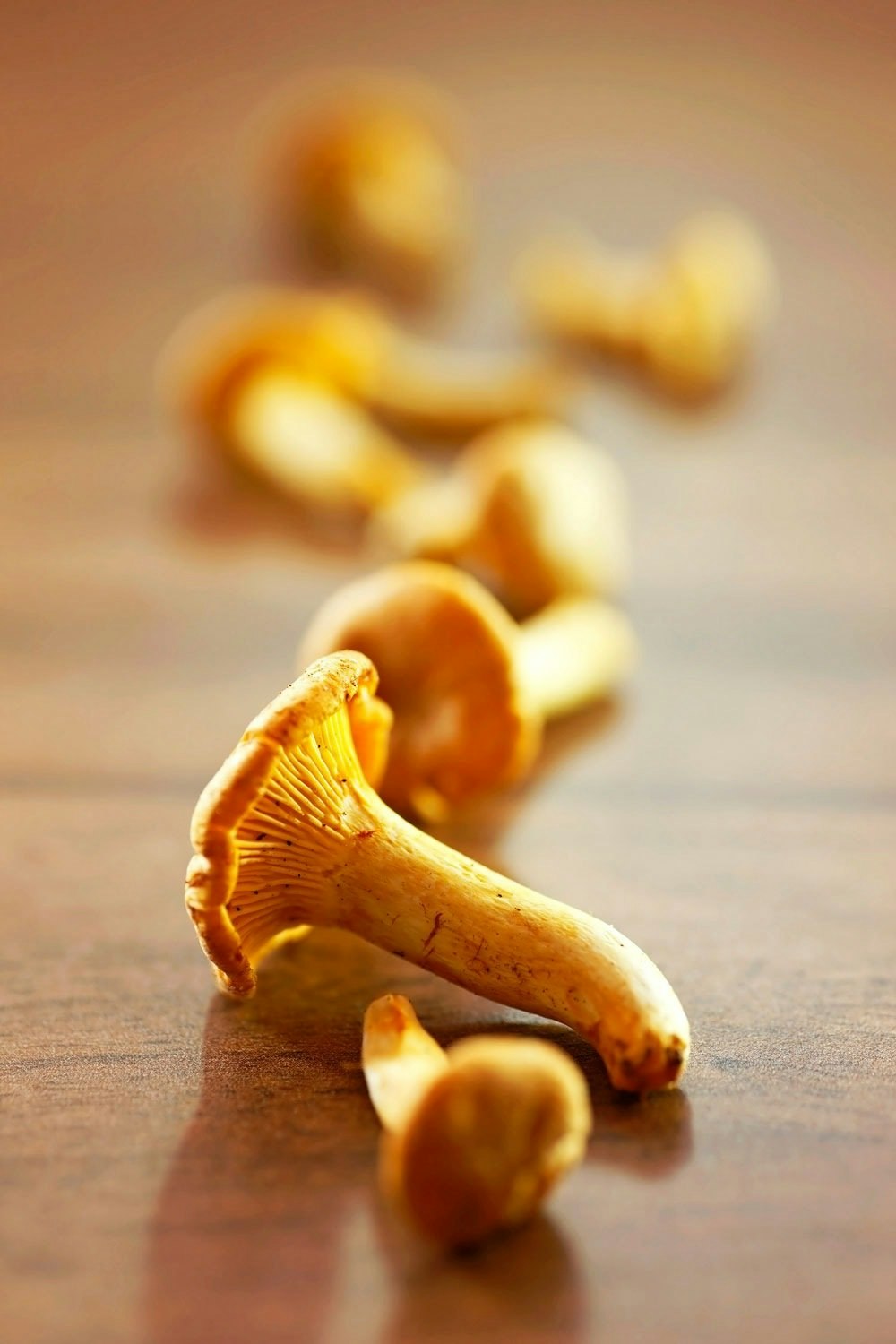 3 viktige grunner for å spise sopp | tara.no