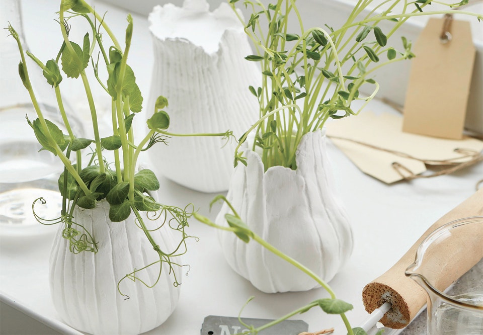 Spirer og stiklinger – slik skaper du en grønn oase | tara.no