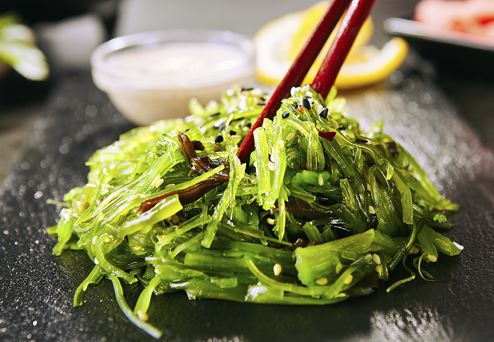 Hvad er tang egentlig? Her får du forklaringerne på 5 slags tang | woman.dk