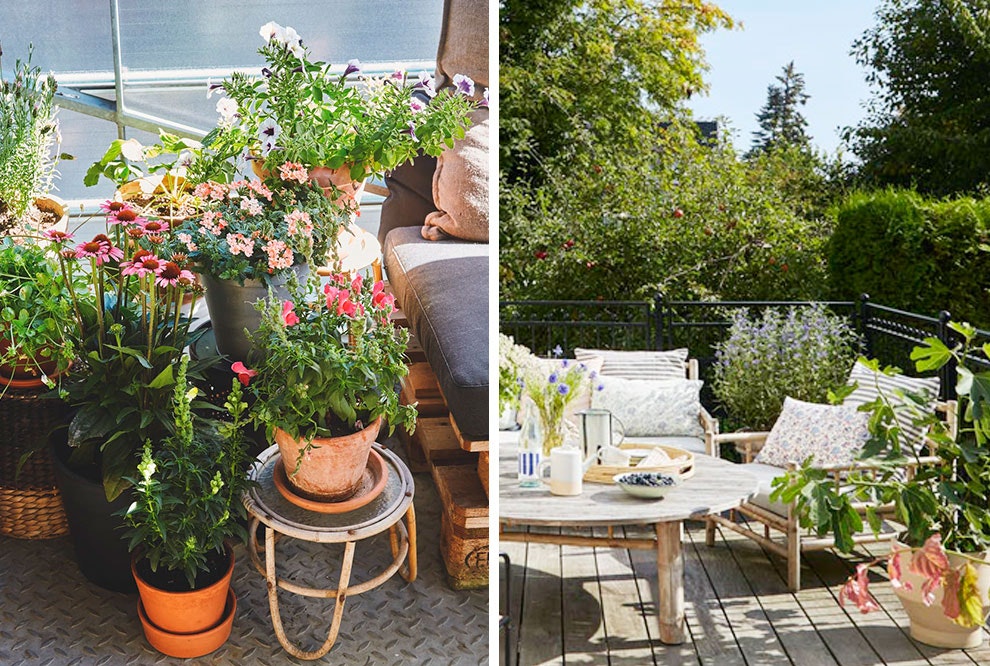 Ekspert: Her er planterne, du skal vælge til din altan afhængigt af ...